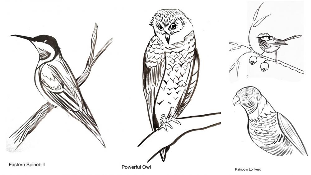 Drawing with Noni Cragg | Library Online | Collaborate Canada Bay