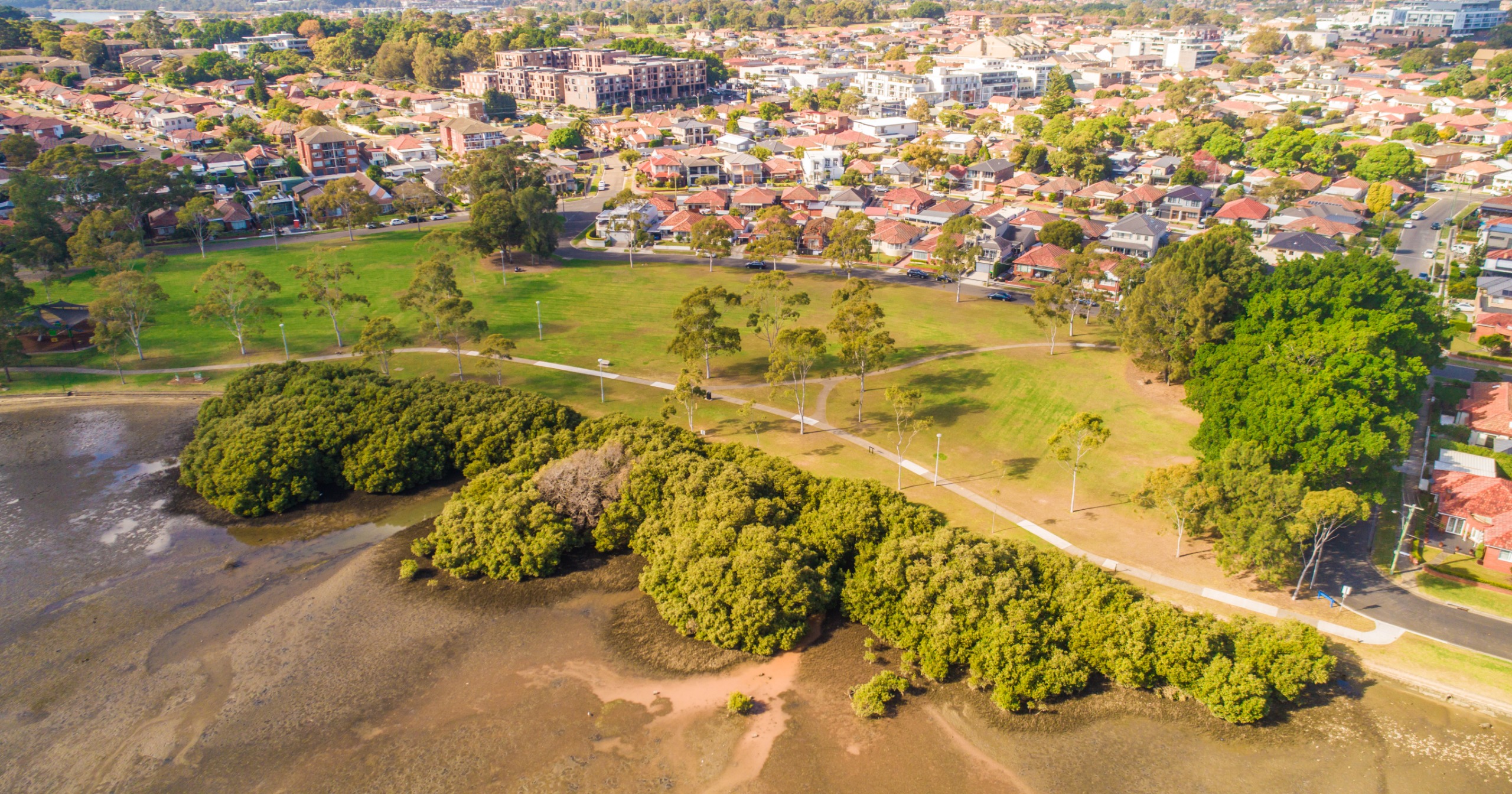 Foreshore Access Strategy | Collaborate Canada Bay