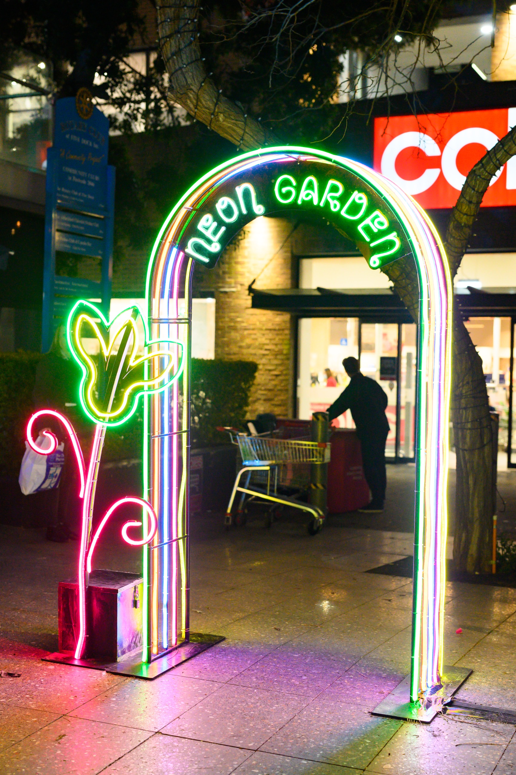 Neon Nightfall | Collaborate Canada Bay