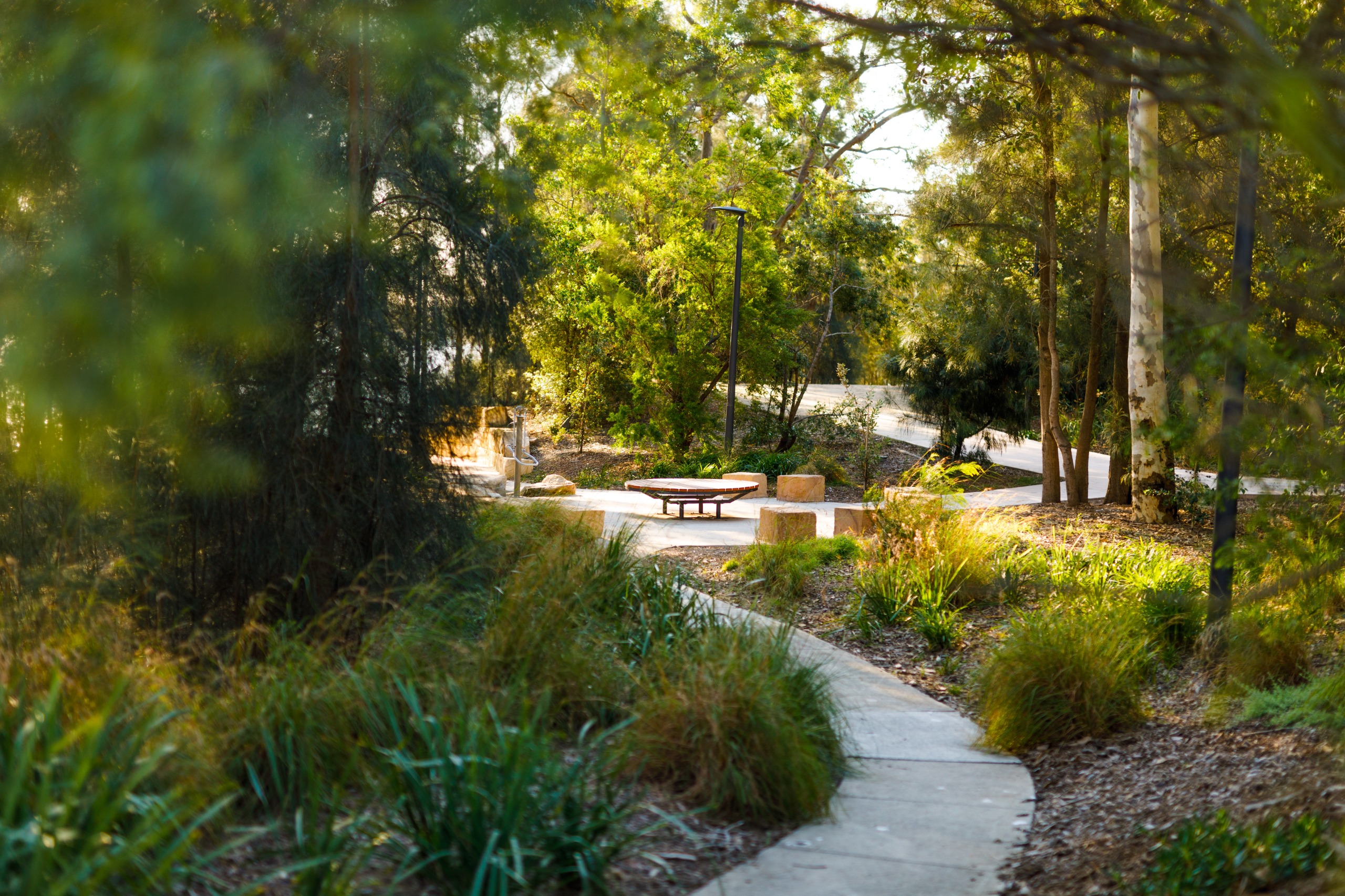 Local Character Areas | Collaborate Canada Bay